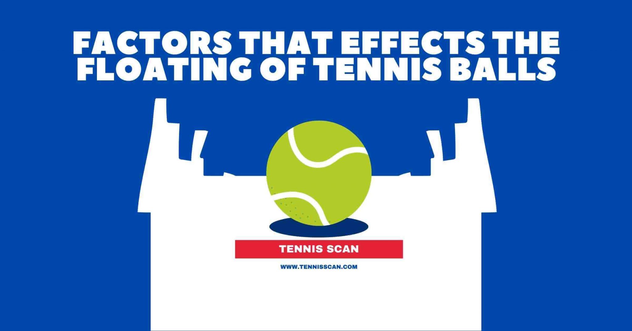 Do Tennis Balls Float? Everything You Need To Know